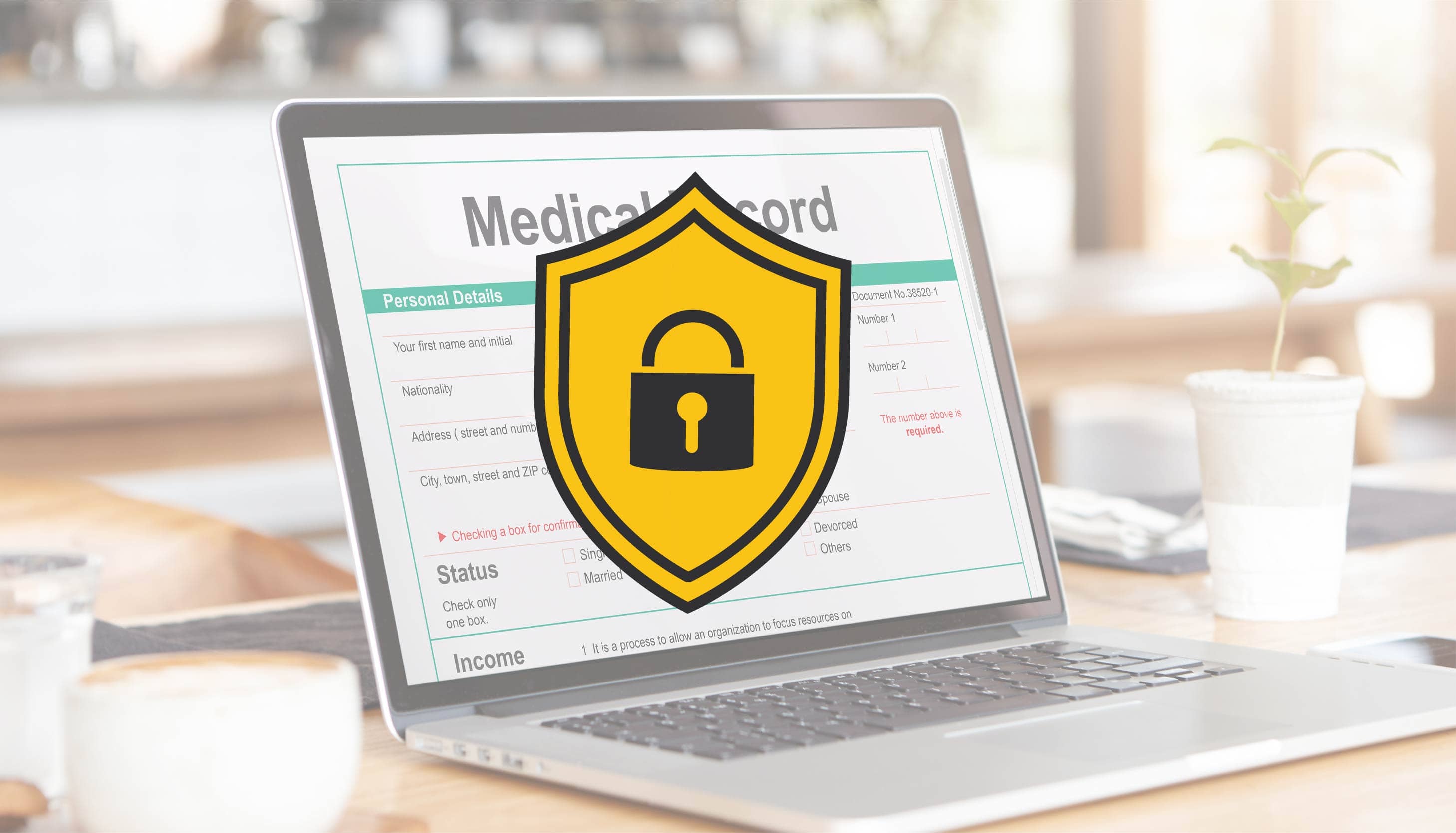 Streamlined compliance program for a major Health Insurance Organization